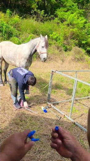 HL26-19 When you’re a farrier, you fix everything