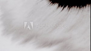 Black ink being splattered on white background. Ink expanding for blending modes with video. Ink on parchment paper and water