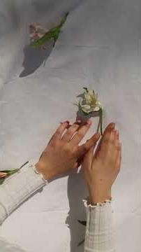 Soft Keyboard vs Physical Keyboard | Typing Explained Simply