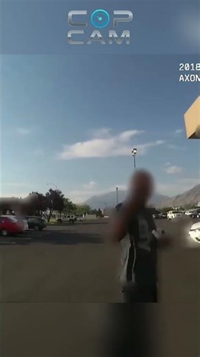 Craziest Moments Cops Face Off With The Most Dangerous Criminals