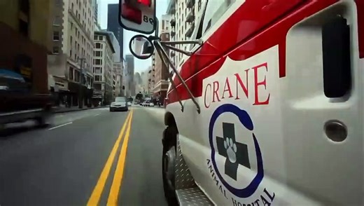 Animal Practice | show | 2012 | Official Trailer