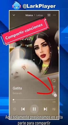 ¿Ya te sabias este trucazo? 🧙🪄 #larkplayer #parati #whatsapp #compartirmusica #larkplayermusic #android