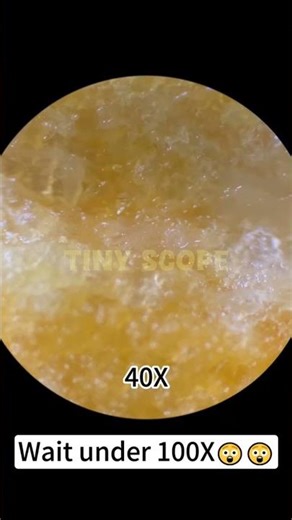 Exploring Potato Chips Under the Microscope: 40x, 100x, 400x Zoom! 🍟🔬 #MicroscopeMagic #FoodScience