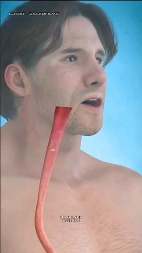 How Medicine Works in your Body #science #sciencefacts #facts