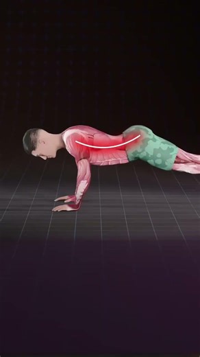 Perfect pushup tutorial