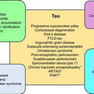 Post Translational Modifications Of Tau Illustration Of The