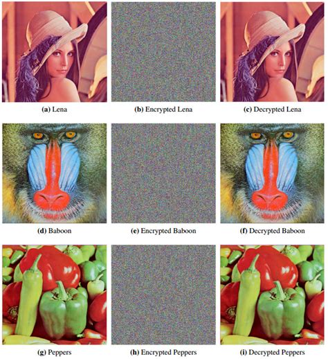 an image encryption algorithm based on heat flow cryptosystems