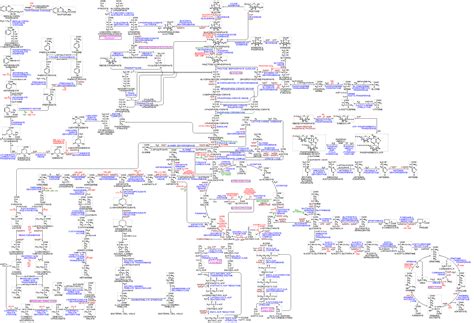 Biochemistry Pathways Poster