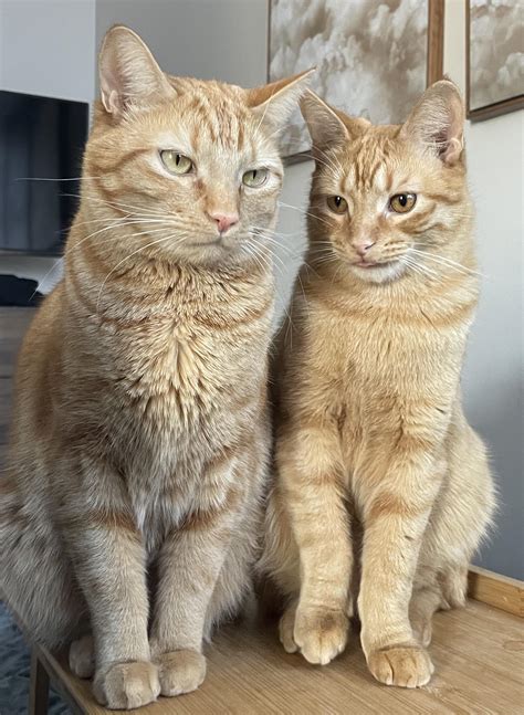 1 Best U Patience Hungry Images On Pholder Two Orange Brain Cells