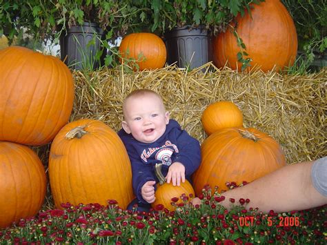 Cam Pumpkin Cams First Pumpkin Experience Hes The Cute Flickr