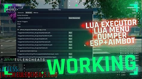 fivem lua executor working undetectable no global ban esp aimbot lua menu by eulen cheats