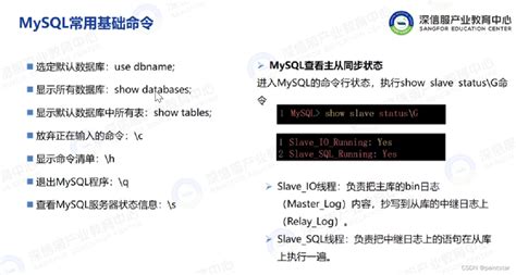 mysql如何运行 mysql 基本命令 mysql运行 csdn博客