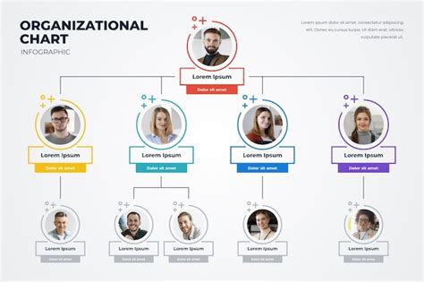 Organizational Chart Examples To Quickly Edit And Export In 50 OFF