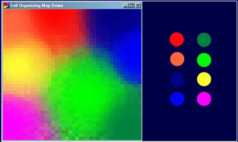solved how does one visualize the self organizing map of n dimensional data math solves