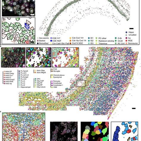 clustermap across different spatial transcriptomics methods a cell type download scientific