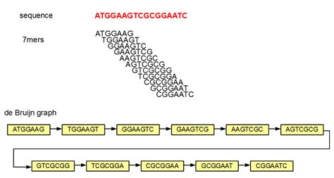 de bruijn graphs i bioinformatics