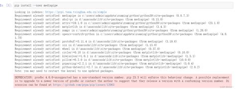python报错 could not install packages due to an oserror： 问题解决办法 csdn博客