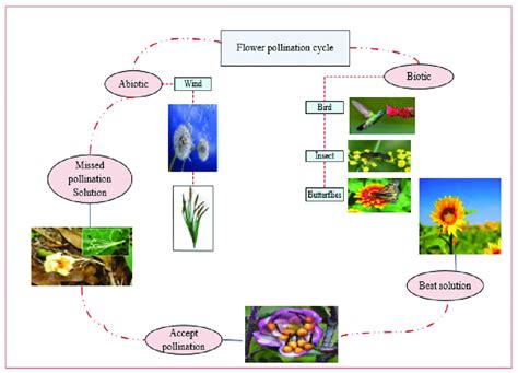 idea of flower pollination algorithm fpa download scientific diagram