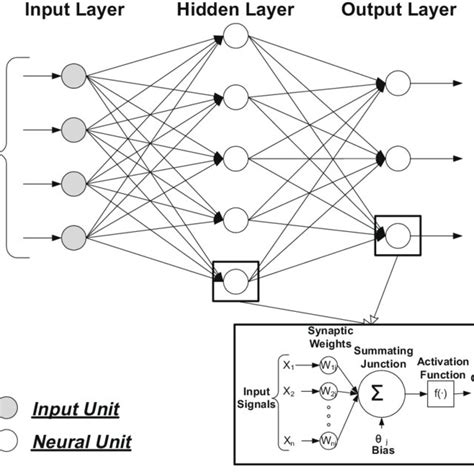 structure of back propagation network download scientific diagram