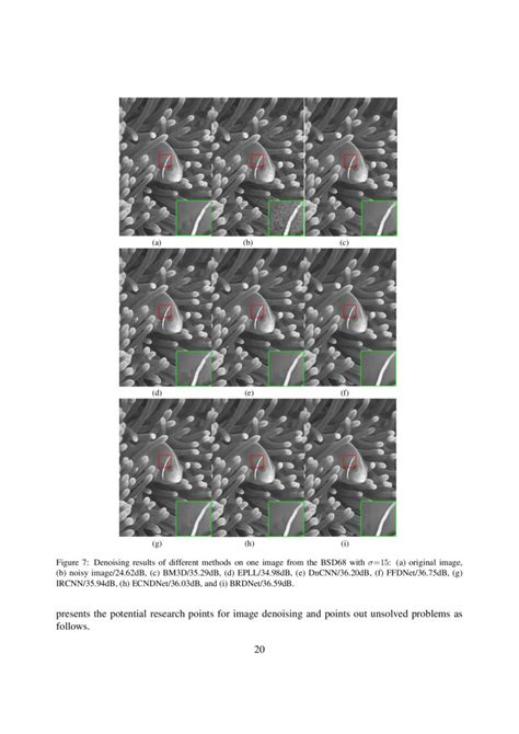 deep learning on image denoising an overview deepai