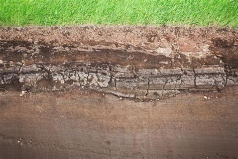 Horizon Layers Of Soil Soil Horizon Explanation With Examples