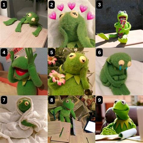 Kermit Faces Emotion Chart Emotion Chart Feelings Chart How Are You
