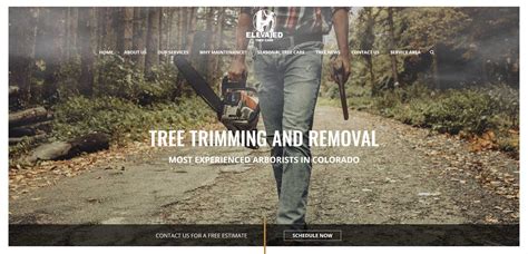 10 Best Revolution Slider Examples Lion Tree Group