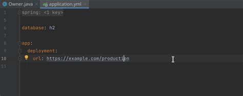 intellij idea 2022 2 eap 2 improved support for bean validation annotations support for