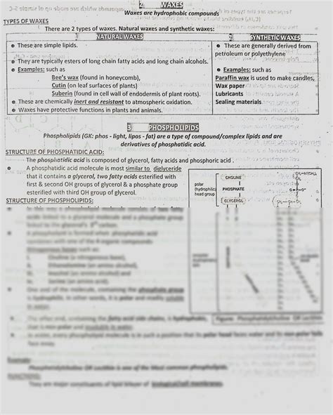 SOLUTION Lipids Definition Classification And Role Of Lipids 4 Studypool