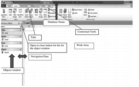 database management system dbms using ms access 2010