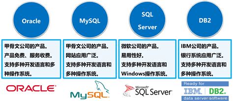 初识mysql 如何理解mysql中的数据库概念 csdn博客