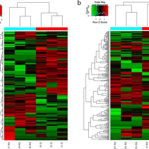 Hierarchical Clustering Of Differentially Expressed MRNAs 24 H After