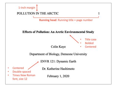 Thesis Paper Example Apa Next Step Online