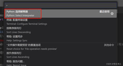 vscode中python环境配置、创建虚拟环境及pip常用命令 vs code python pip csdn博客