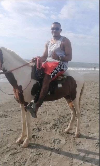 Cartagena Kolumbien Reiten Am Strand Mittagessen GetYourGuide