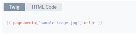 How To Make Tabbed Code Screen On Grav Learn2 Stack Overflow