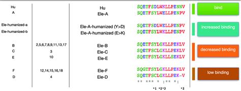 summary of human and elephant p53 sequences grouping the different download scientific diagram