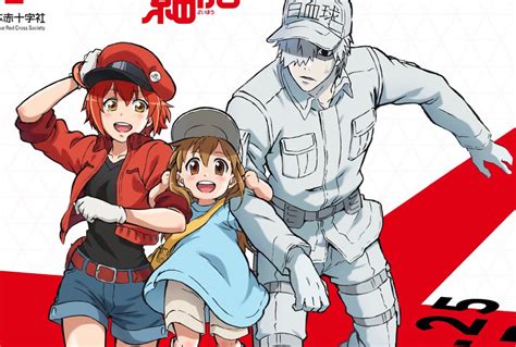 Cells At Work Season 3 Confirmed For 2022 Everything To Know