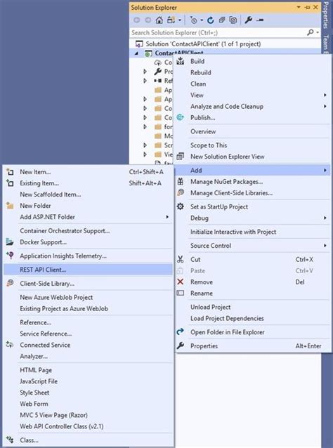 How To Create REST API Service Client Using Swagger And REST API Client