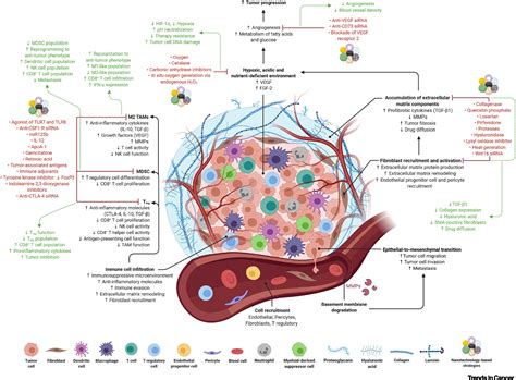 Nanomedicine Based Strategies To Target And Modulate The Tumor