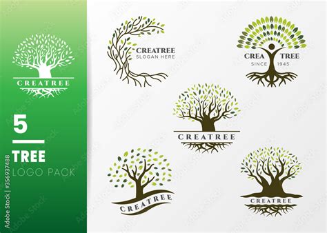 Green Tree And Roots Logo Design Vector Isolated On Grey Background