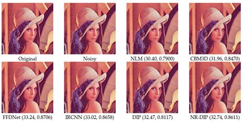 symmetry free full text image denoising using nonlocal regularized deep image prior