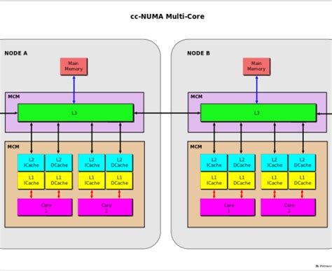 difference between multicore and multiprocessor pediaa
