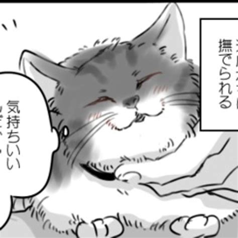 画像6 9ネコ漫画保護された野良猫の変化にうちの子もそうだったと共感の嵐野良猫と飼い主の絆ストーリーとは 作者に聞く