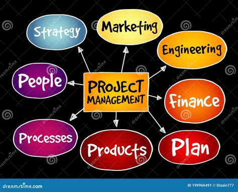 Project Management Mind Map Stock Illustration Illustration Of Chart