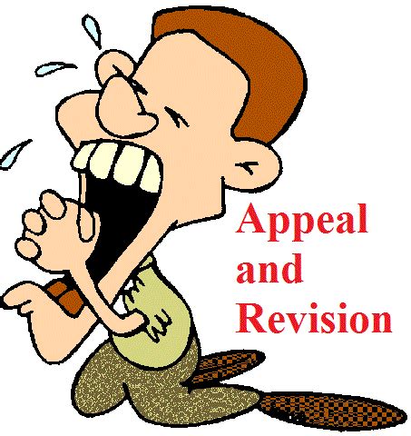 Difference Between Appeal And Revision In Law Terms Lawkidunya