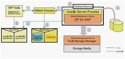 steps to configure sap oracle database backup using tsm for erp tdp sap and rman utility