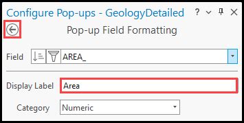 Problem Field Aliases Of Shapefiles Are Not Preserved In ArcGIS Online