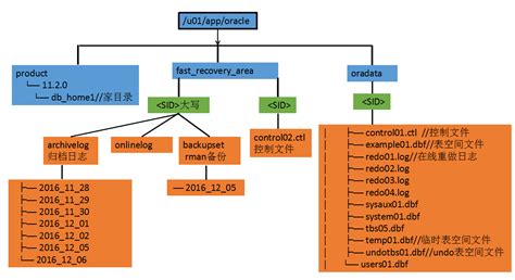 oracle11g文件目录结构图 oracle11g文件结构 csdn博客