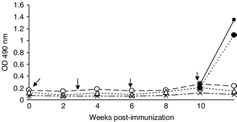 Mean Igg Antibody Responses In Mice Immunized With Naked Dna And Download Scientific Diagram